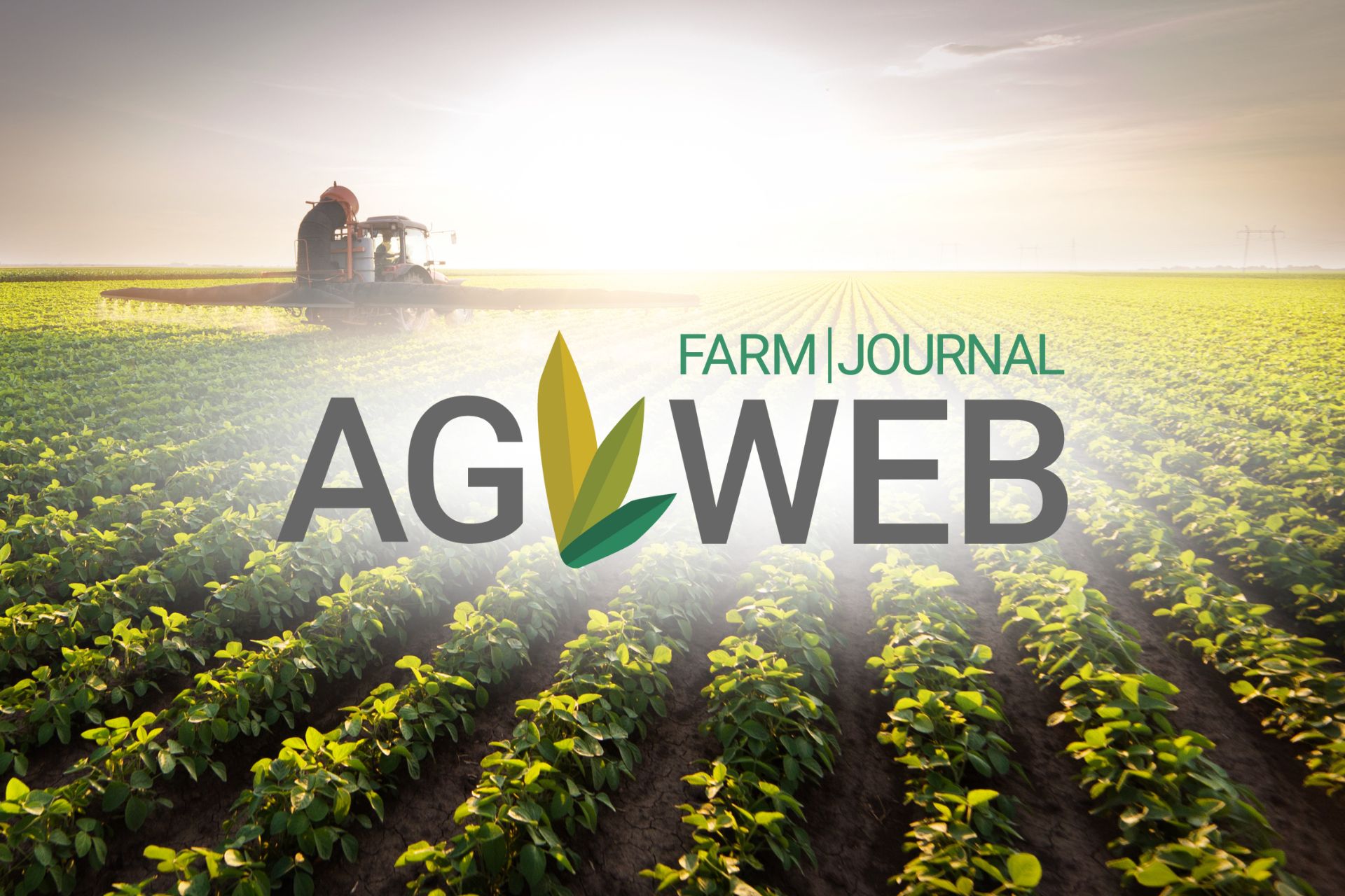 Tractor Tuesday: Revolutionizing the Way Farm Machinery Is Bought and Sold